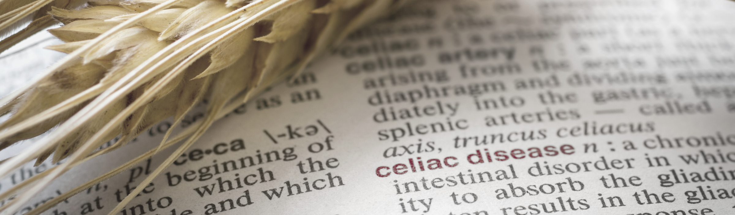 La maladie cœliaque - Simplement sans gluten
