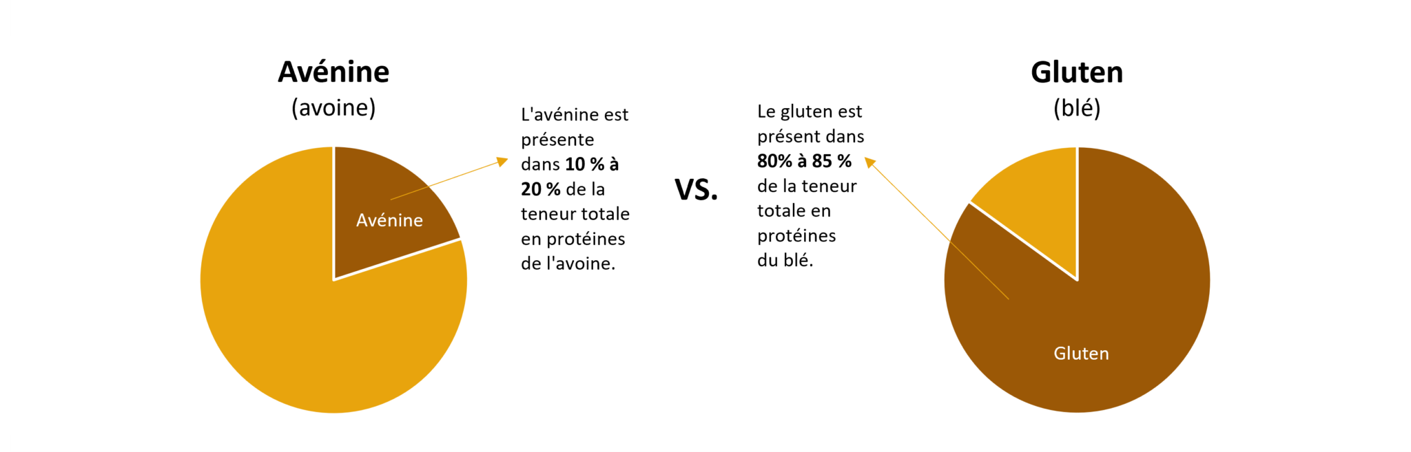 Est-ce que l'avoine est sans gluten